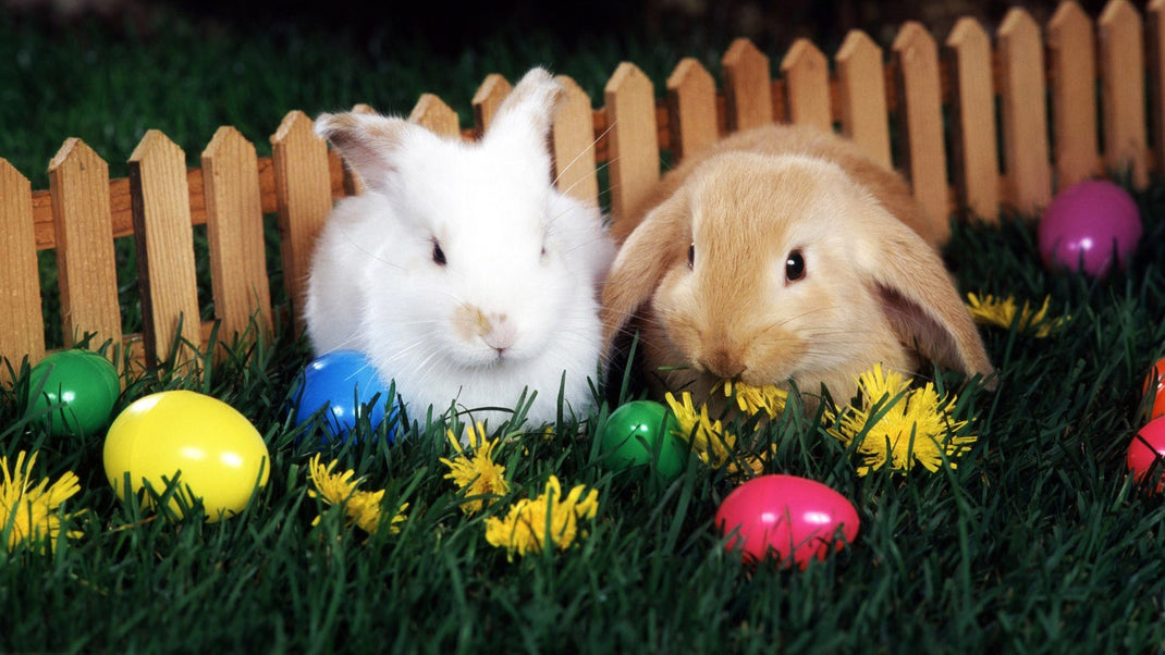 EASTER – Sammy Jean &Co